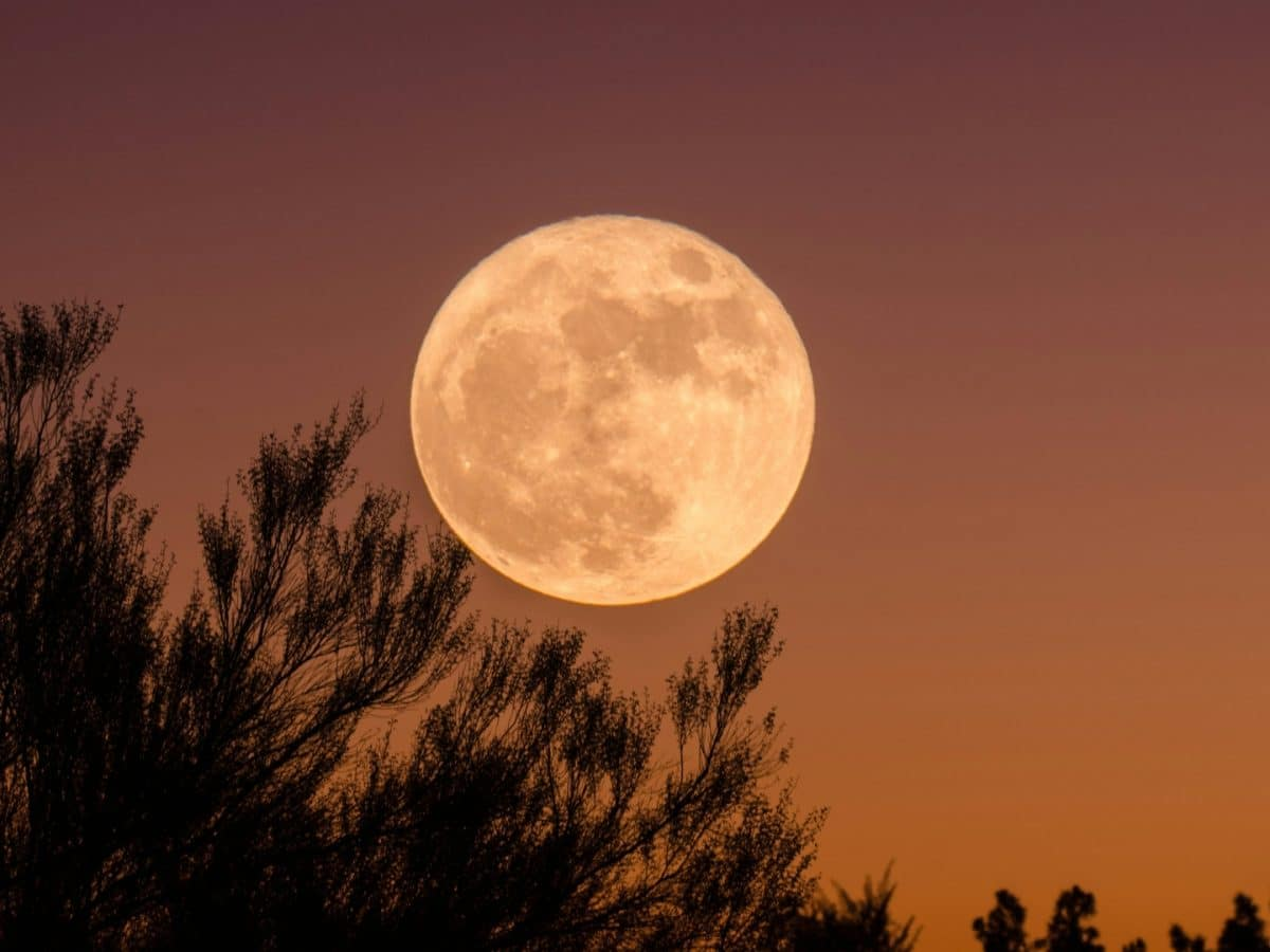 The UAE Gears Up For A Dazzling Display Of The "Flower Moon"