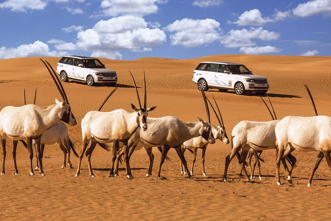 Top 5 Animals You Can Encounter In Dubai